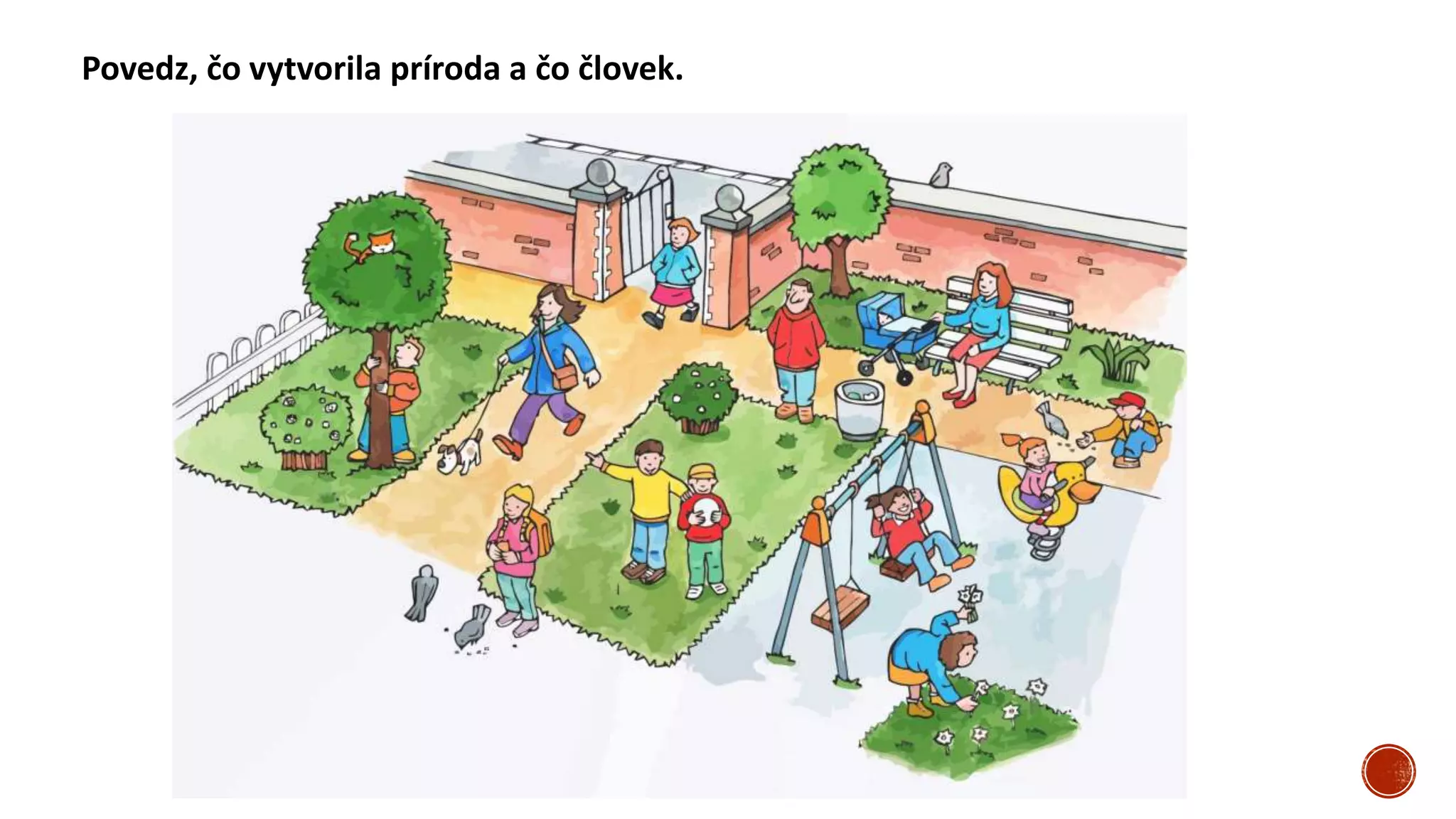 Prírodoveda pre 3. roč. ZŠ | PDF