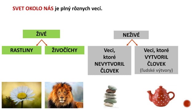 Prírodoveda pre 3. roč. ZŠ | PDF