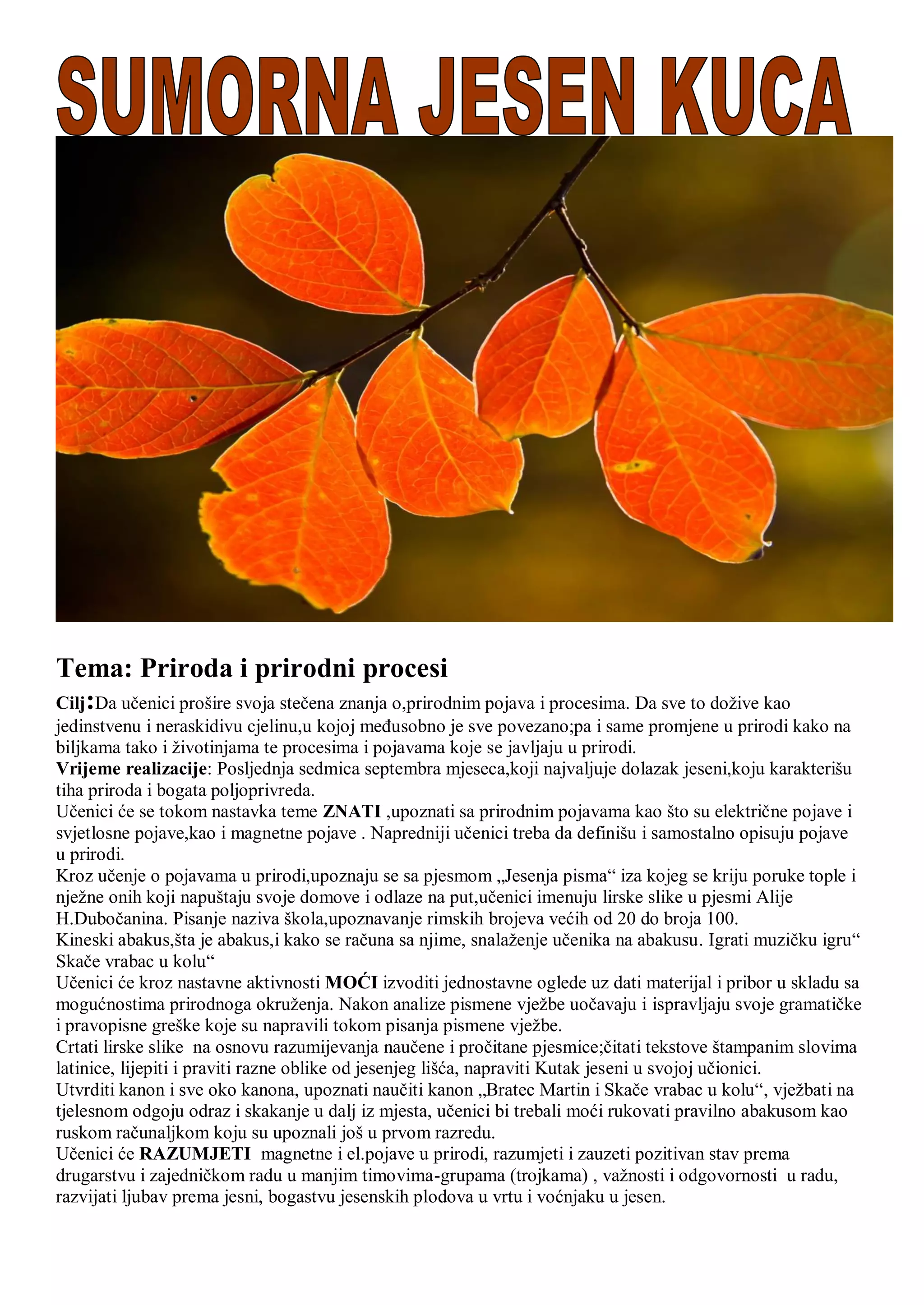 Priručnik 4 | PDF
