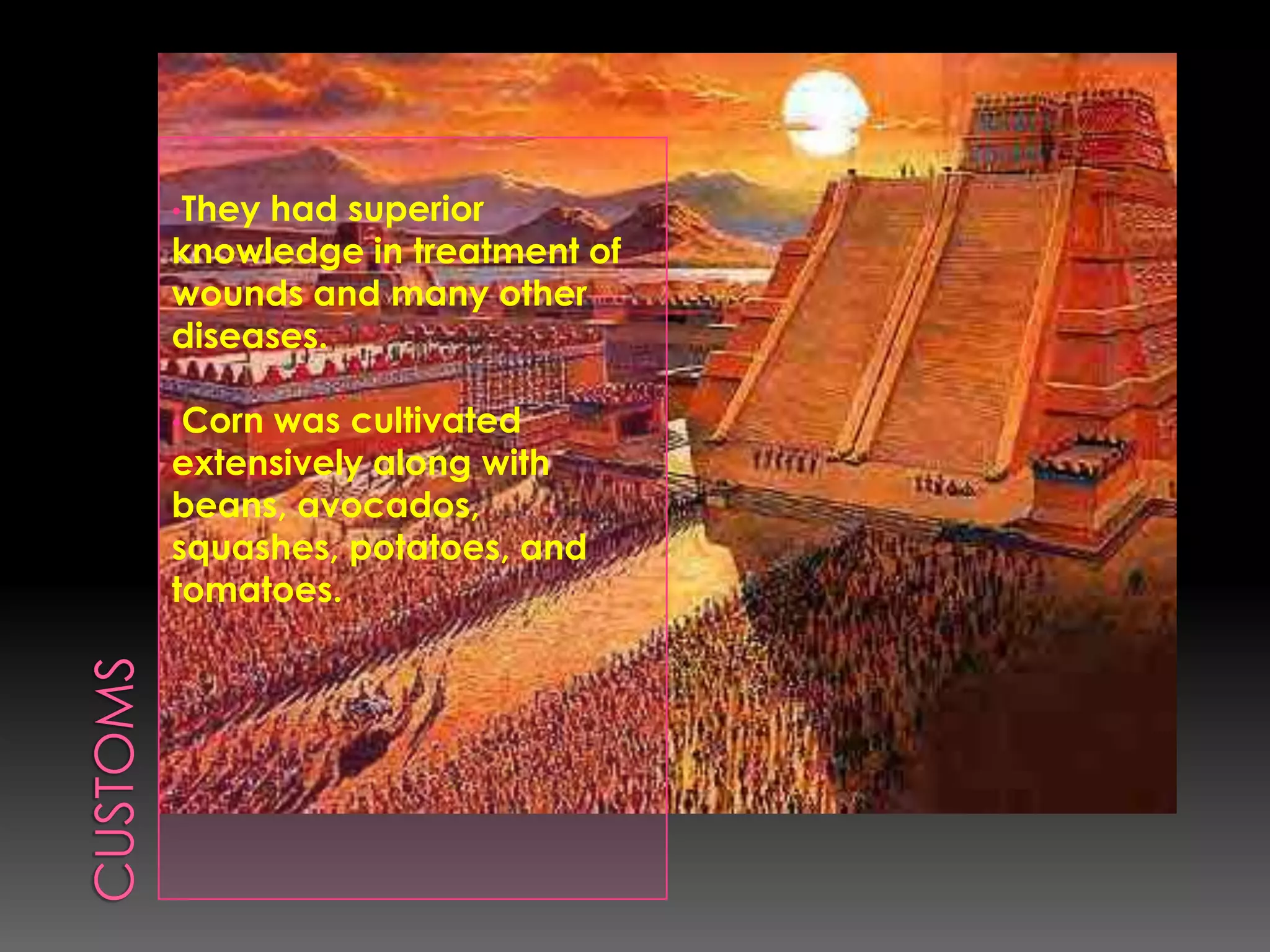 Priscilla Aztec[1] | PPT