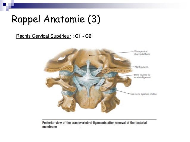 Prise en charge d’un traumatisme du rachis cervical 2015