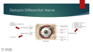Prism for-diplopia cybersight | PDF