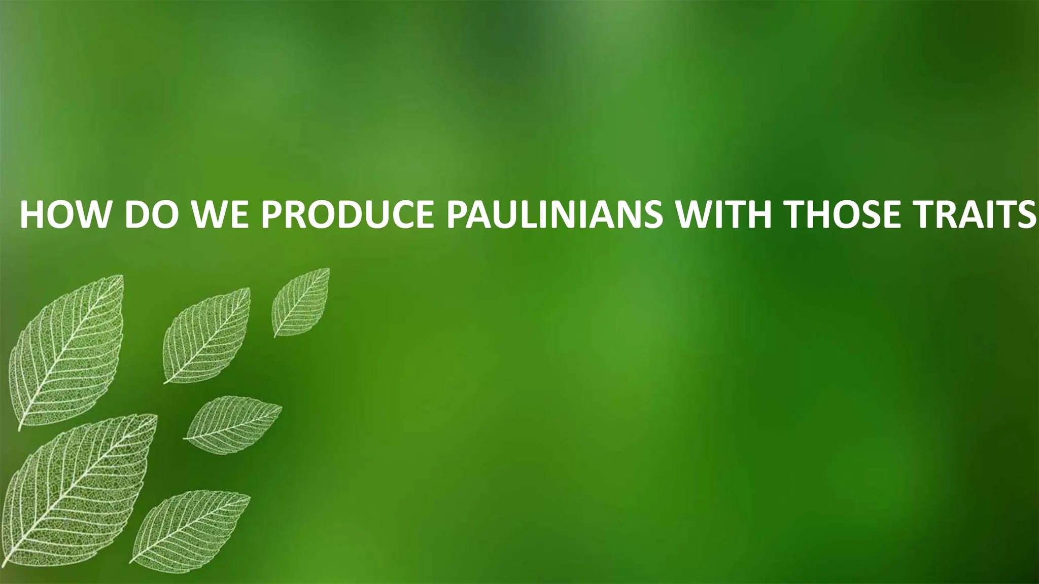 PRISM PAULINIAN FORMATION (Paulinian Philosophy).pptx