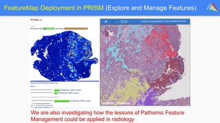 PRISM Project Update | PDF