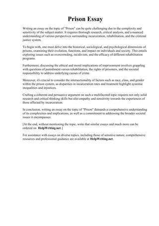 Prison Essay.pdf