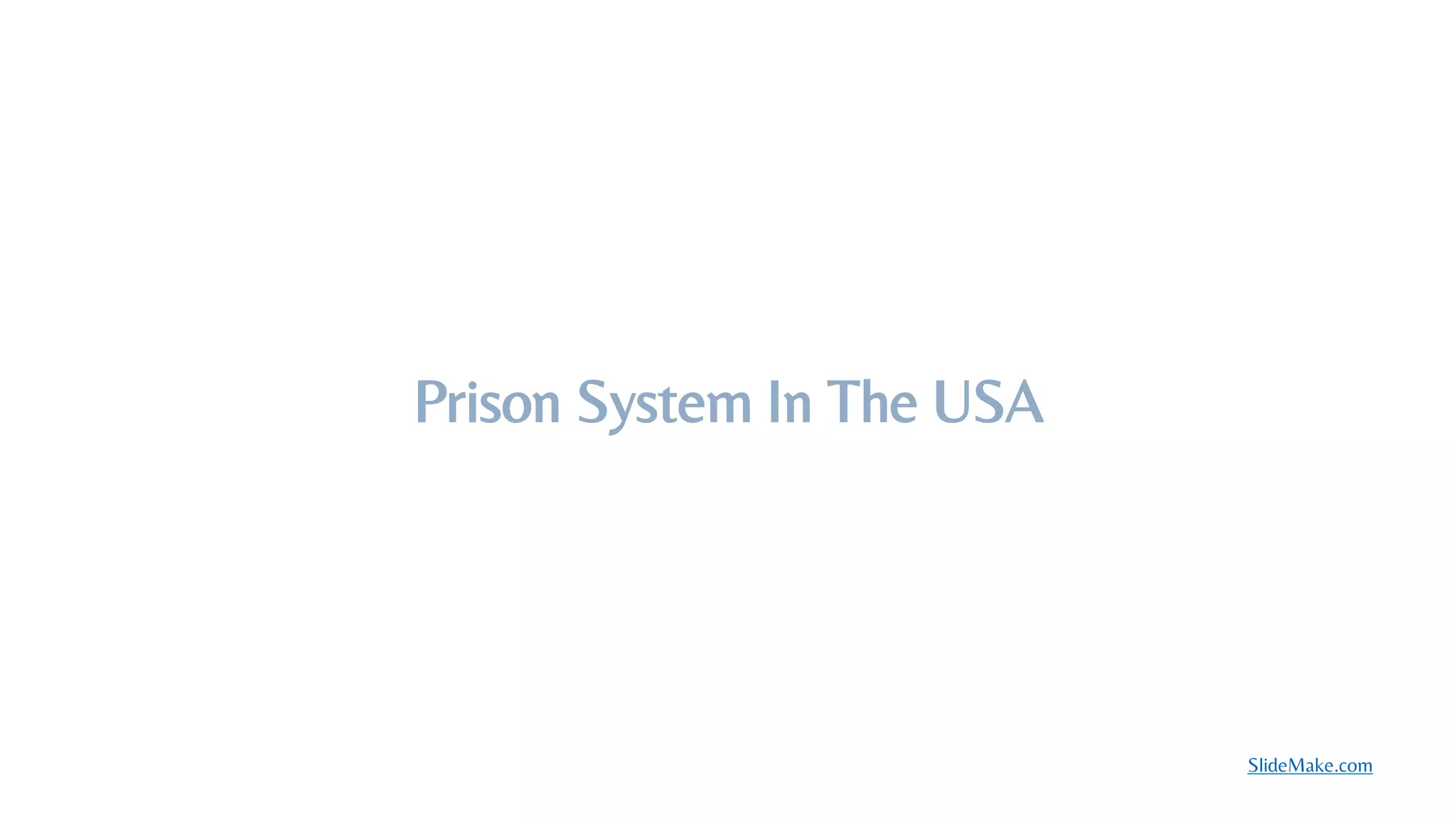 Prison System In The USA.pptx