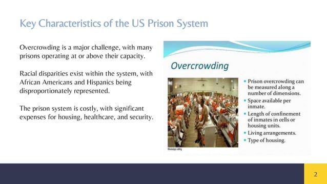 Prison System In The USA.pptx