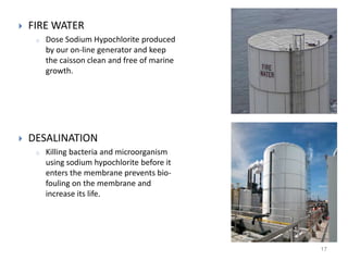 Pristine Water - Corporate Profile 2013 | PPTX