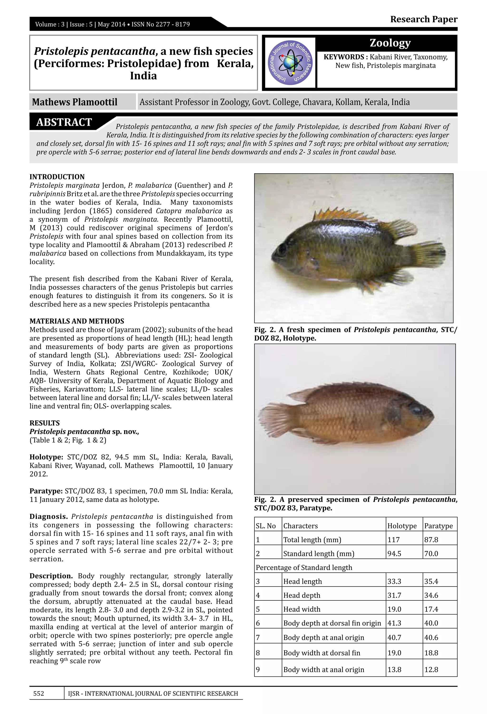 Pristolepis pentacantha, a new species | PDF