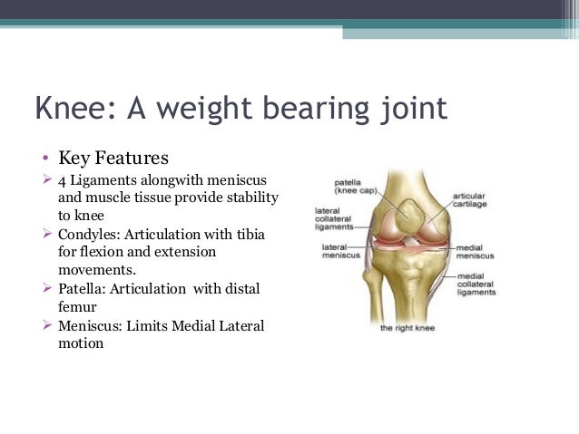 Pritam Patil Knee Project