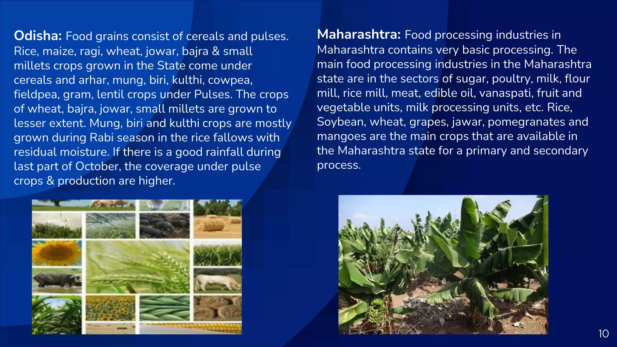 Resources Of Odisha And Maharashtra | Art Integrated Project | Social ...