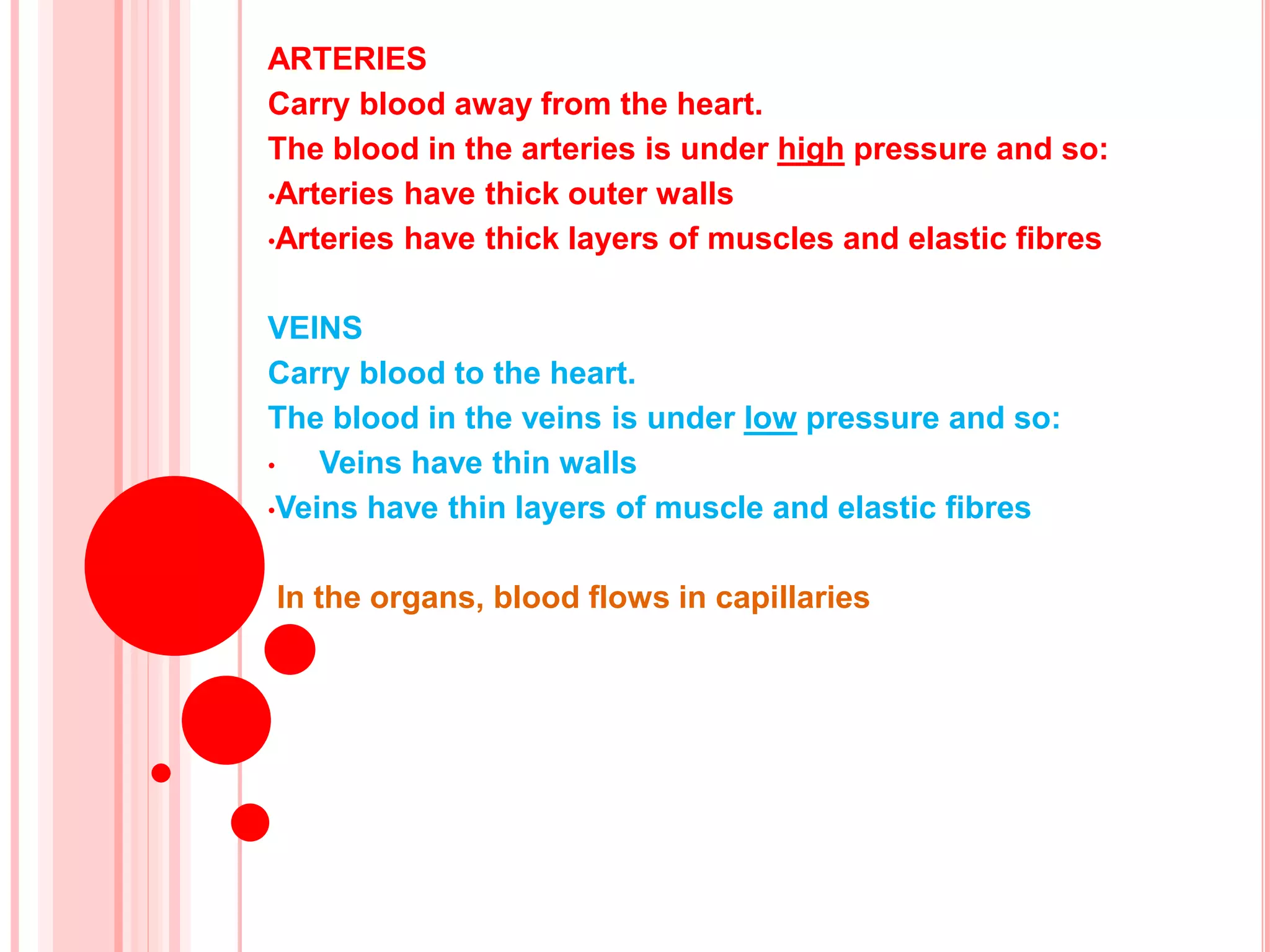 Pritesh(HEART ANATOMY )NURSING | PPT