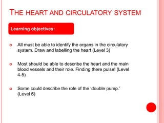 Pritesh(HEART ANATOMY )NURSING | PPT
