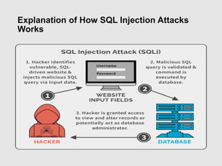 Identifying and Eradicating Web Application Vulnerabilities : Cyber Security Project ...