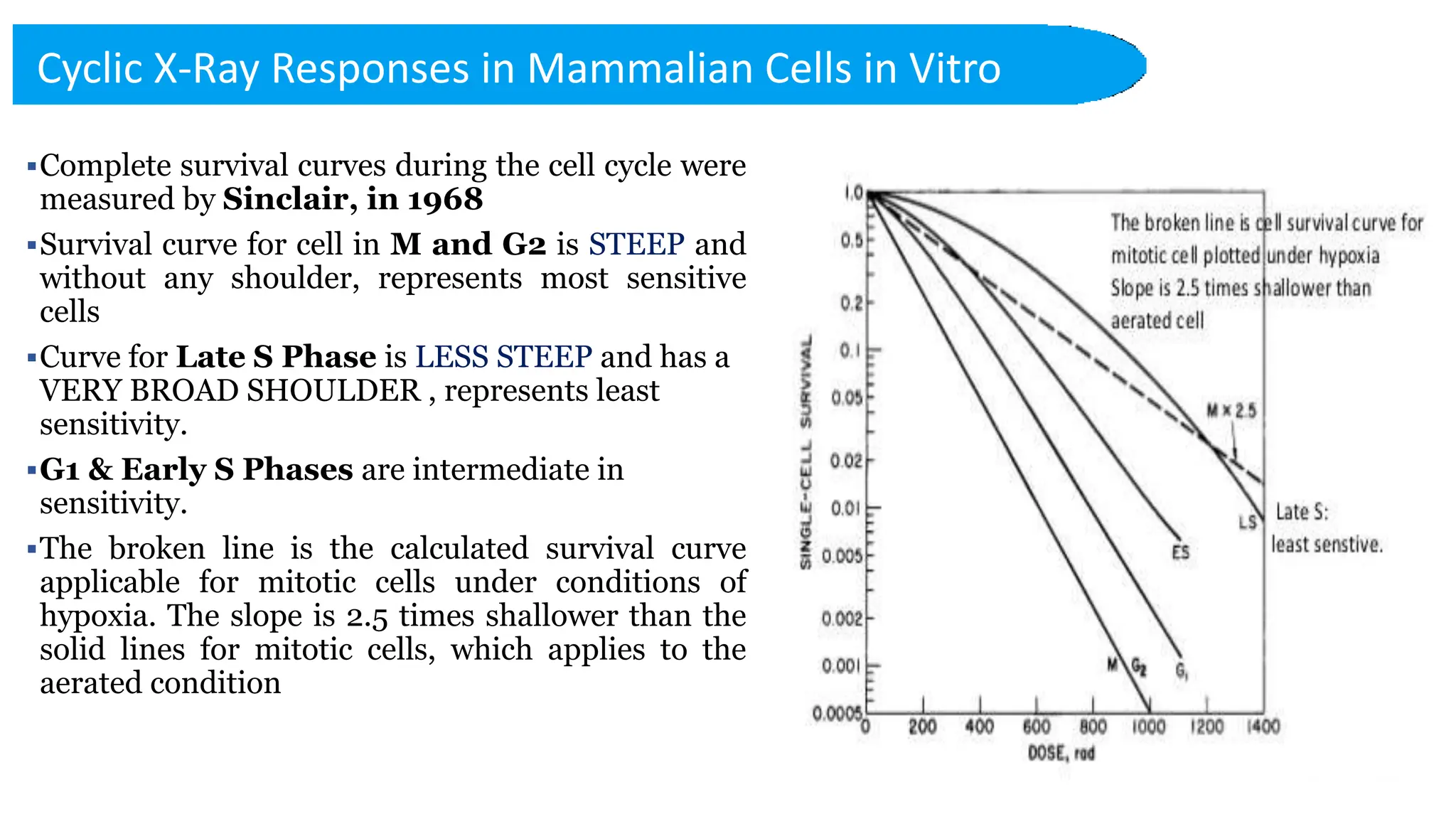 PRITHA Cell cycle and Radiosensitivity.pptx
