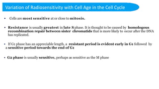 PRITHA Cell cycle and Radiosensitivity.pptx