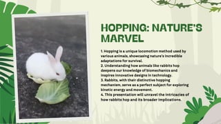 prithvi chaturvedi hopping ppt.pdf