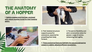 prithvi chaturvedi hopping ppt.pdf