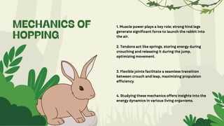 prithvi chaturvedi hopping ppt.pdf