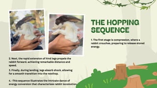 prithvi chaturvedi hopping ppt.pdf