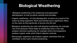 Biogeochemical cycles (Sedimentary Cycles) | PDF