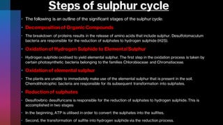 Biogeochemical cycles (Sedimentary Cycles) | PPT