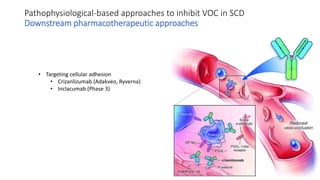 Sickle cell disease: Newer treatments. Will India be Sickle free by ...