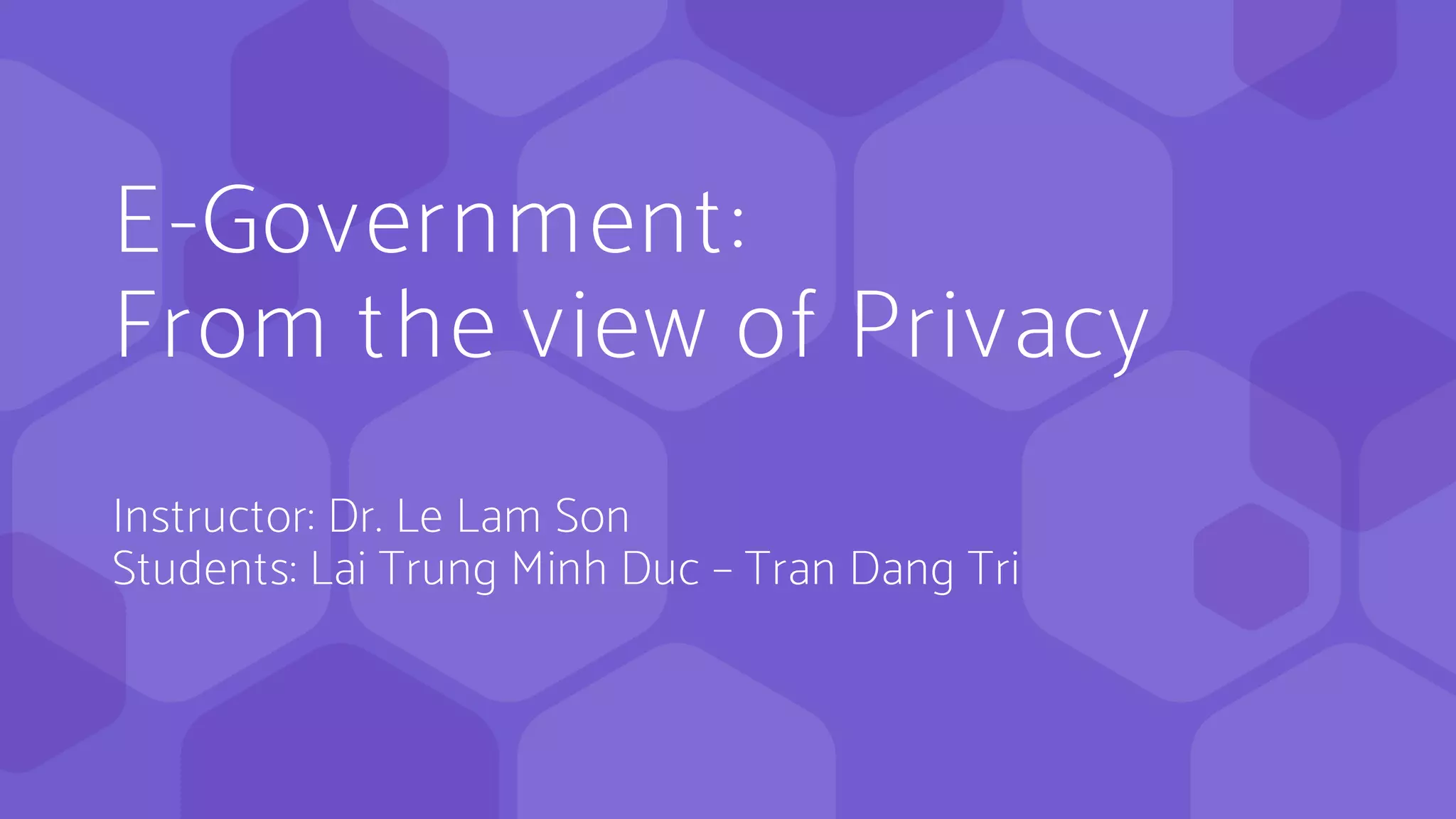HCMUT IMP Computer Science 20 - E-Government from the view of Privacy | PPT