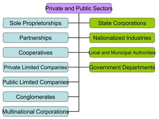Private and public sectors | PPT