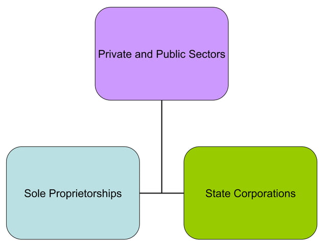 Private and public sectors | PPT
