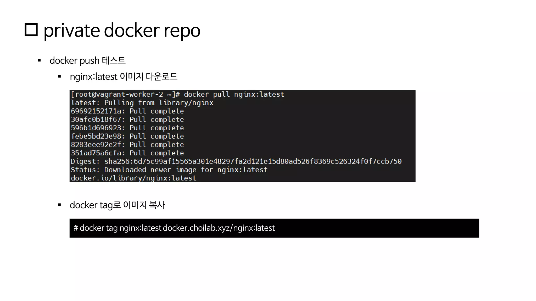 nexus helm 설치와 private docker repo 생성 | PPT
