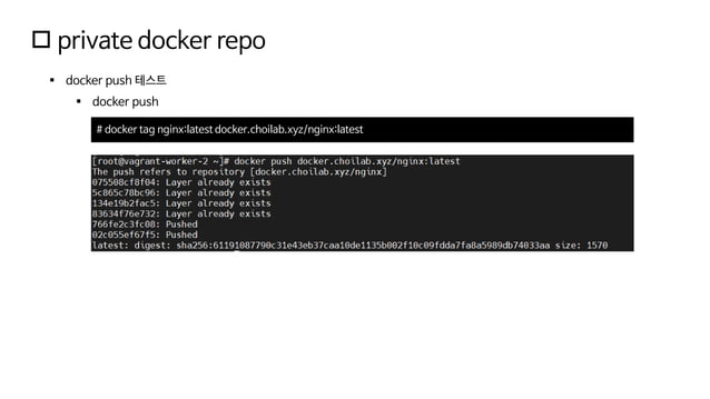 nexus helm 설치와 private docker repo 생성 | PPT
