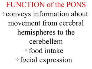 Private physiology of the CNS.ppt 9990879 | PPT