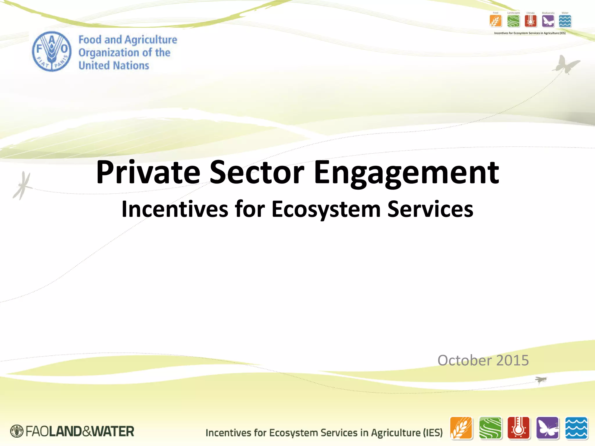 Private Sector Engagement. Incentives for Ecosystem Services | PPT