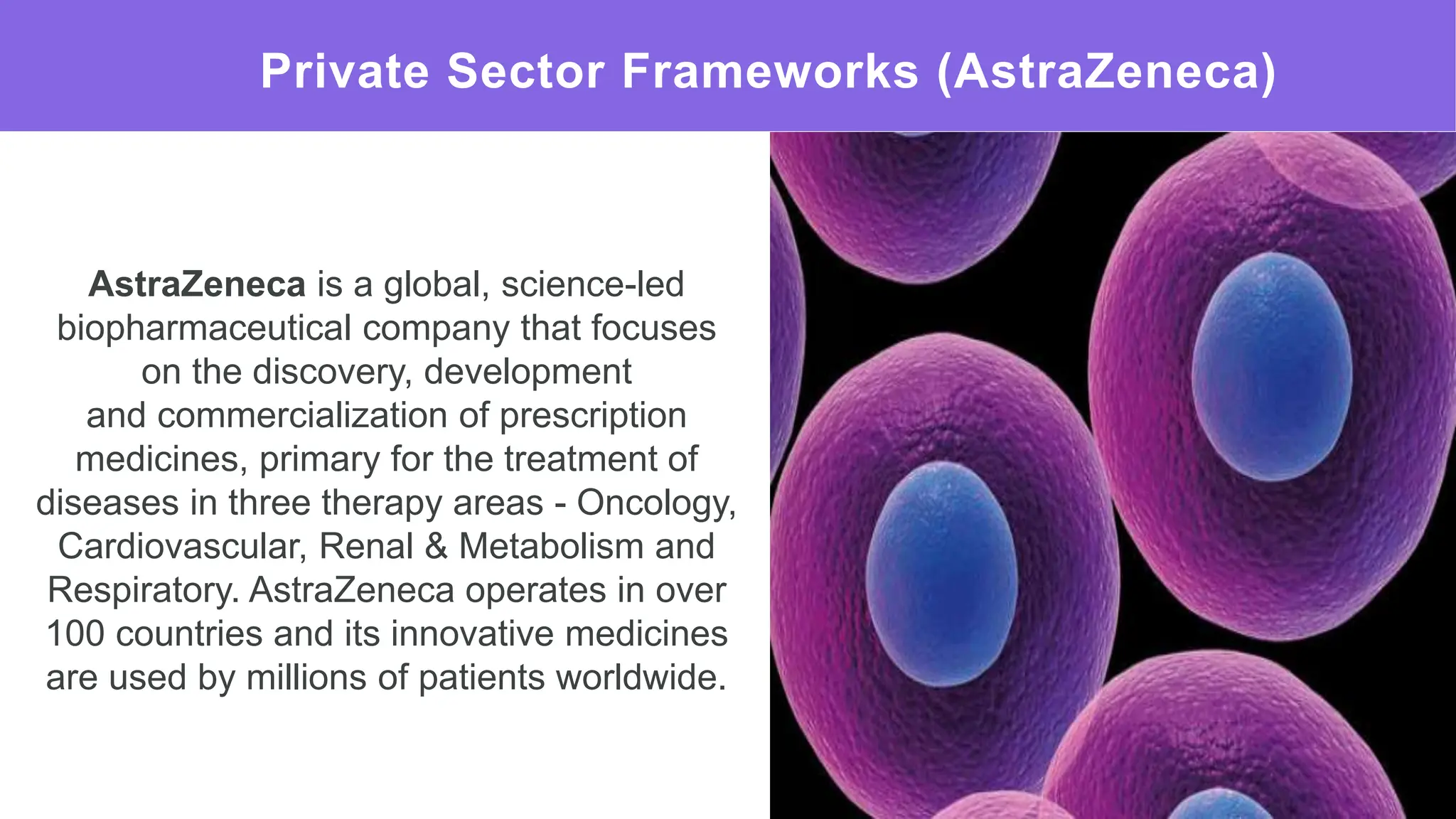 Private Sector Frameworks leadership models .pptx