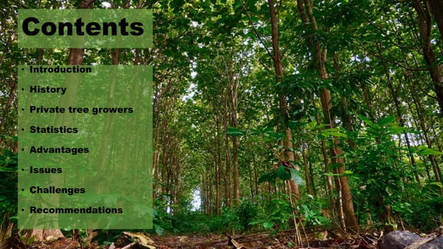 Private sector participation in commercial forest plantation ...