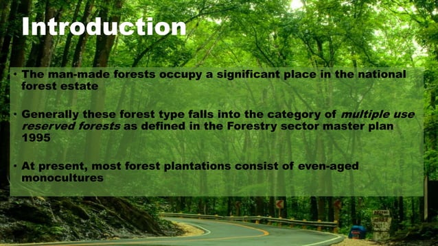 Private sector participation in commercial forest plantation ...