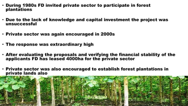 Private sector participation in commercial forest plantation development in Sri Lanka | PPTX