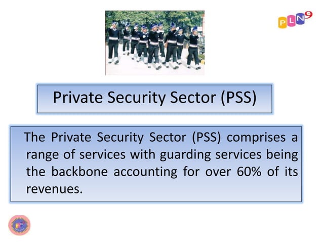 Private Security Sector | PPTX | Business | Business and Finance