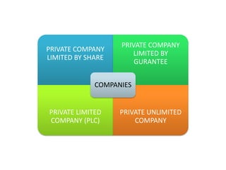 Private unlimited company | PPTX