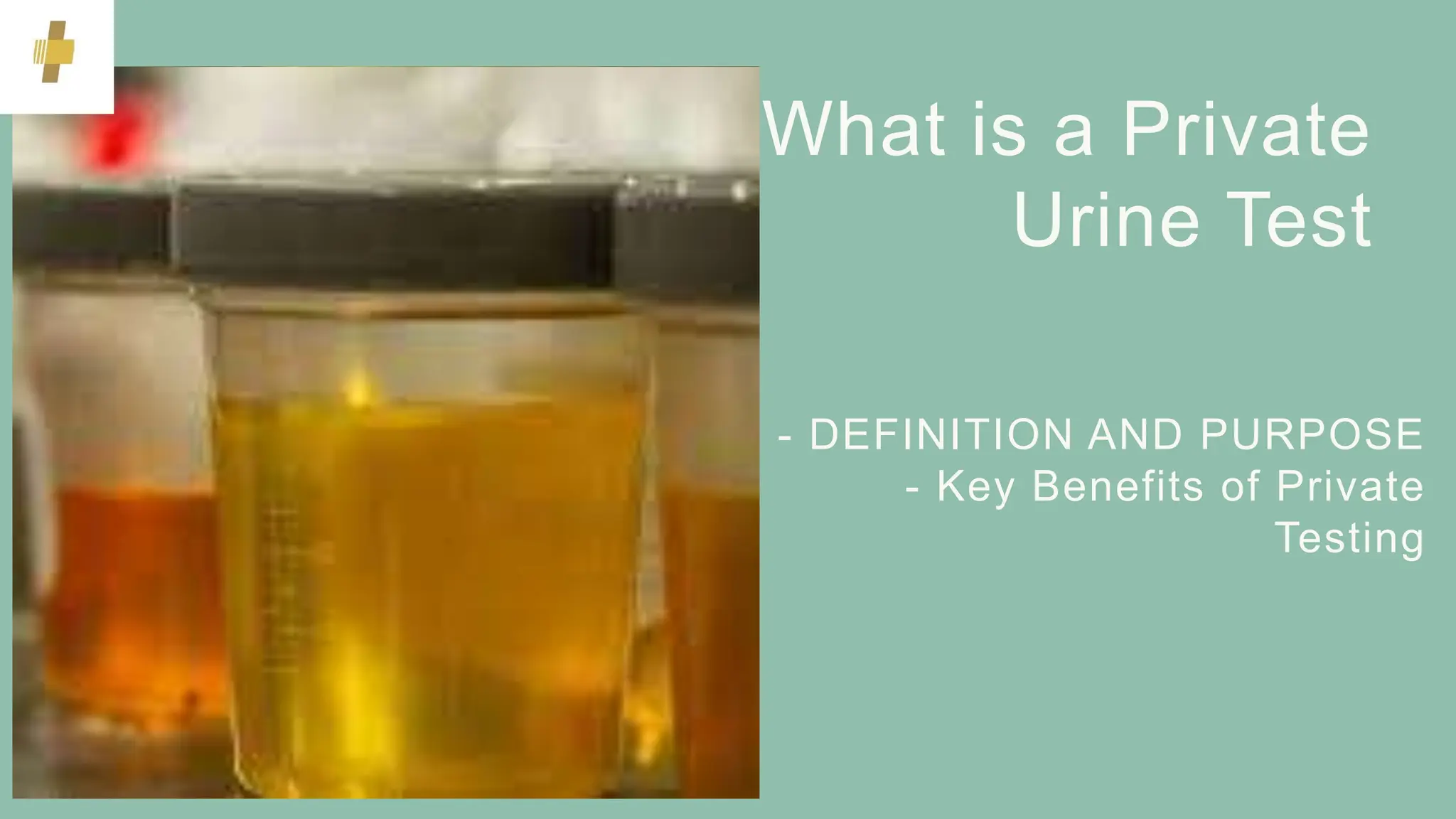 Private Urine Test Services in the UK.pptx