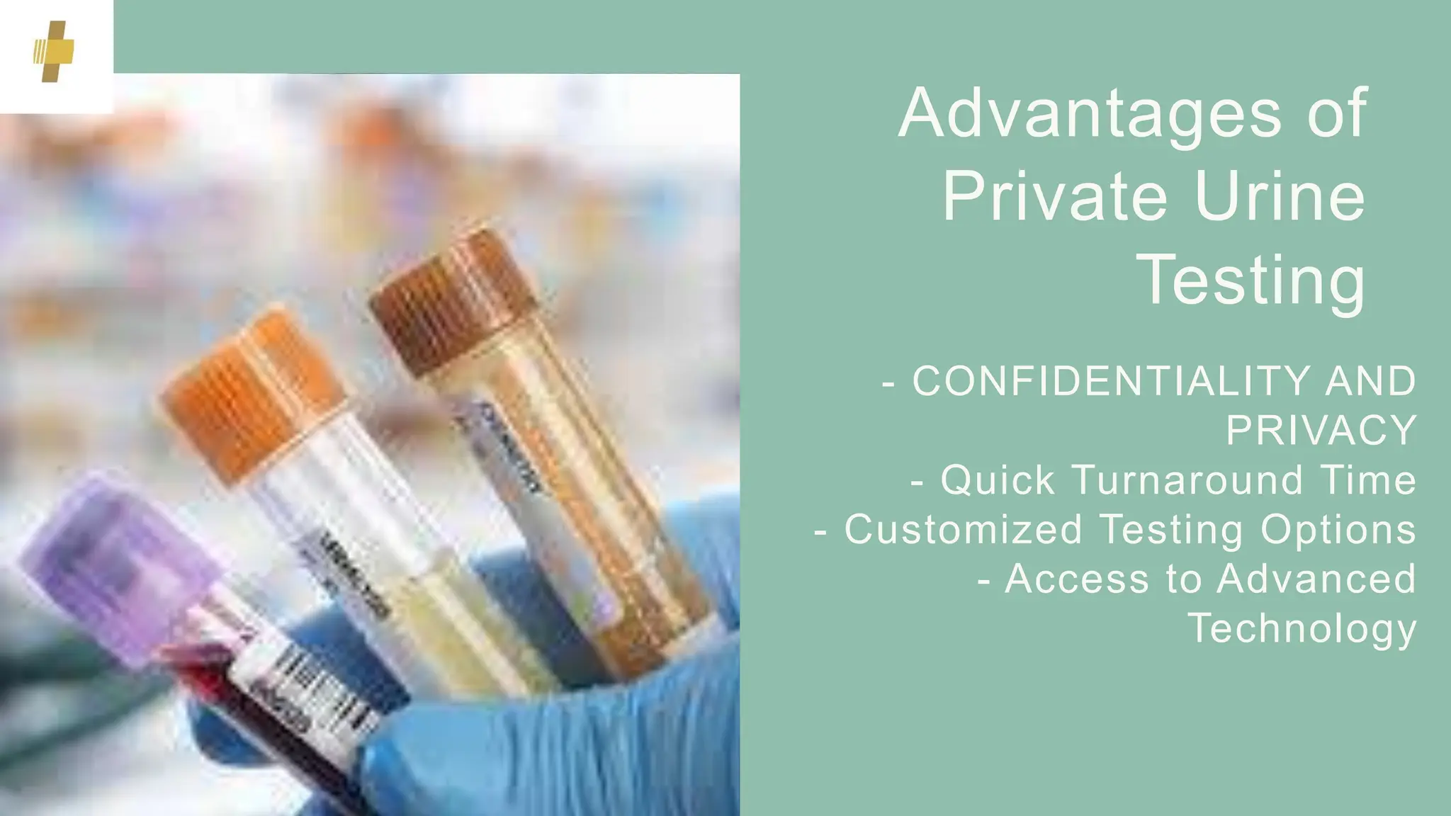 Private Urine Test Services in the UK.pptx