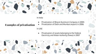 Privatisation -bst.pdf