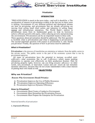 Privatization | PDF