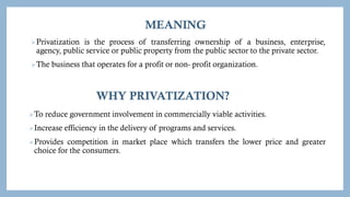 Privatization.pdf
