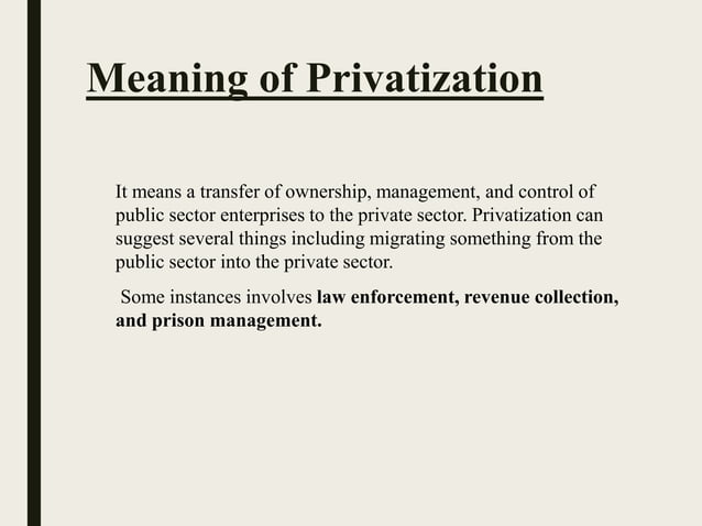 Privatization .pptx