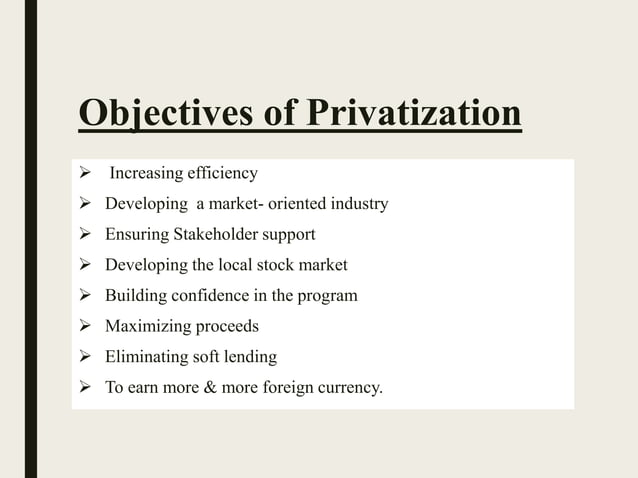 Privatization .pptx