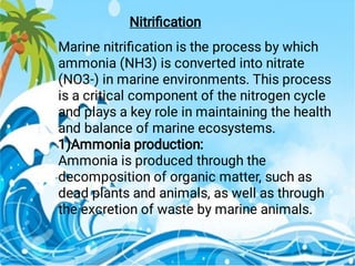 Marine Nitrogen cycle, Iron limitation, ocean fertilization | PDF