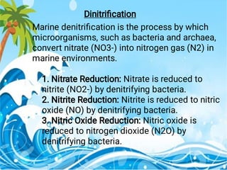 Marine Nitrogen cycle, Iron limitation, ocean fertilization | PDF