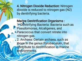 Marine Nitrogen cycle, Iron limitation, ocean fertilization | PDF